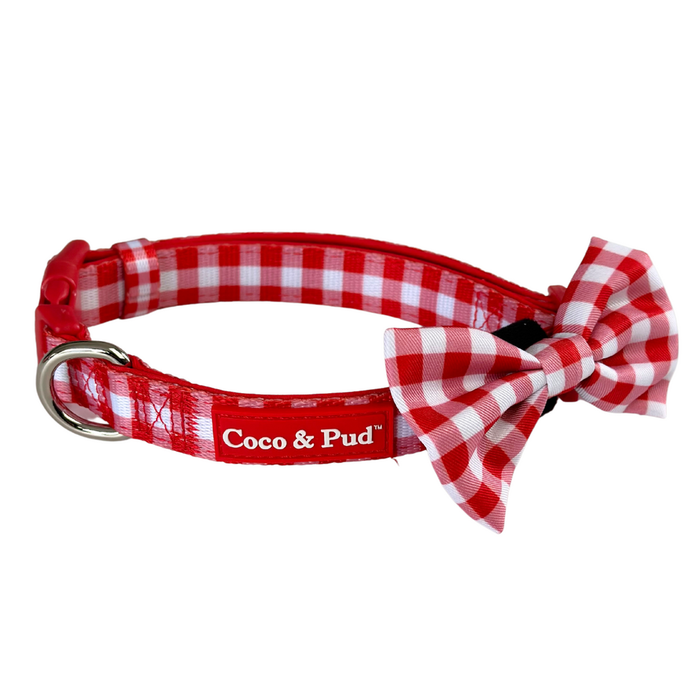 Dog Collars & Dog Leads | Coco & Pud
