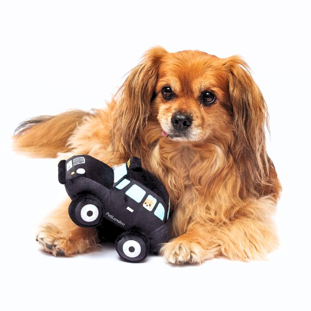 Designer Dog Toys
