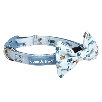 Dog Collars & Dog Leads