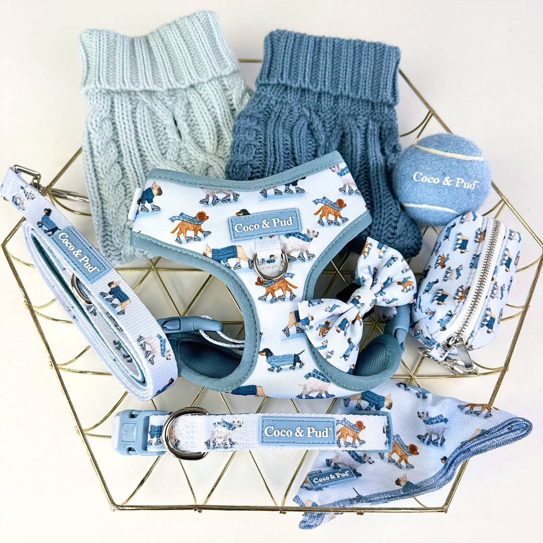 Skating Dogs Dog Collar