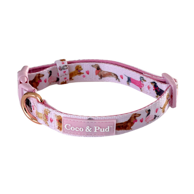 Dog Collars & Dog Leads | Coco & Pud