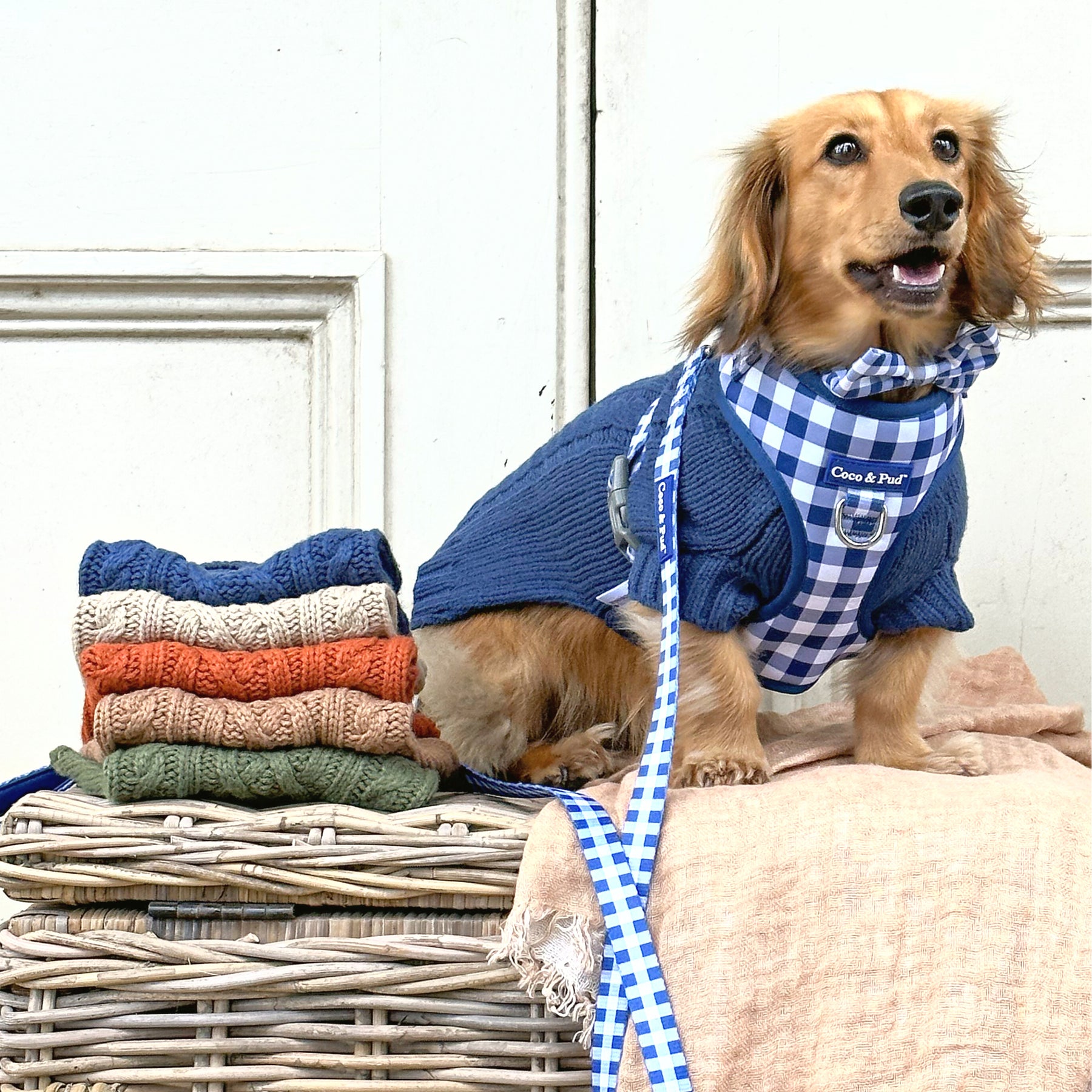 Coco & Pud - Online Pet boutique. Buy dog supplies, designer pet...