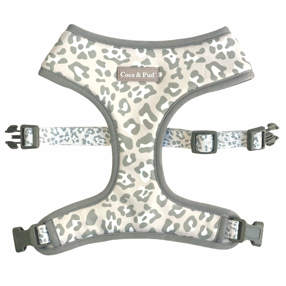 Amur Leopard Reversible Dog Harness