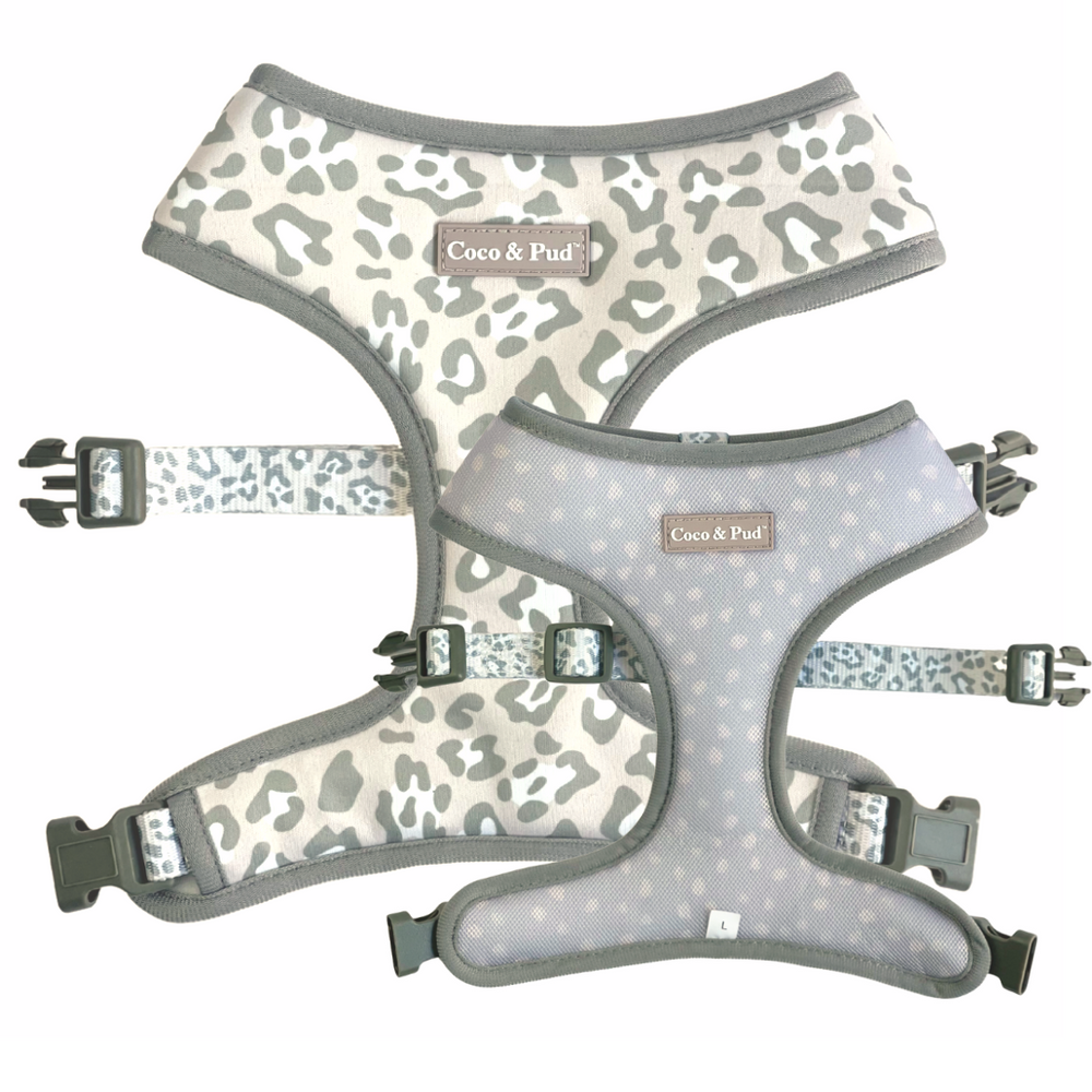 Amur Leopard Reversible Dog Harness - Coco & Pud