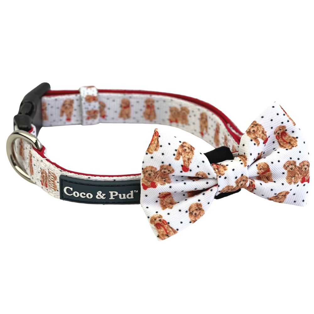 Oodles of Fun Dog Collar - Coco & Pud