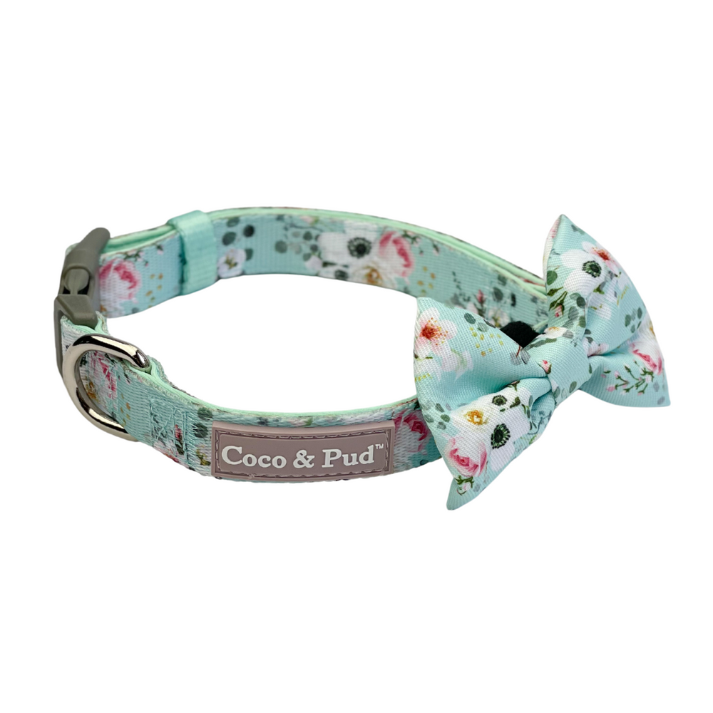 French Azure Dog Collar