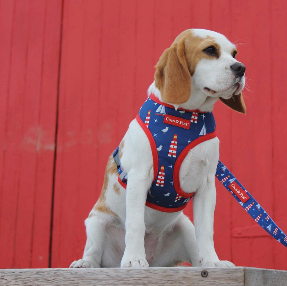 Coco & Pud Hamptons Reversible Dog Harness