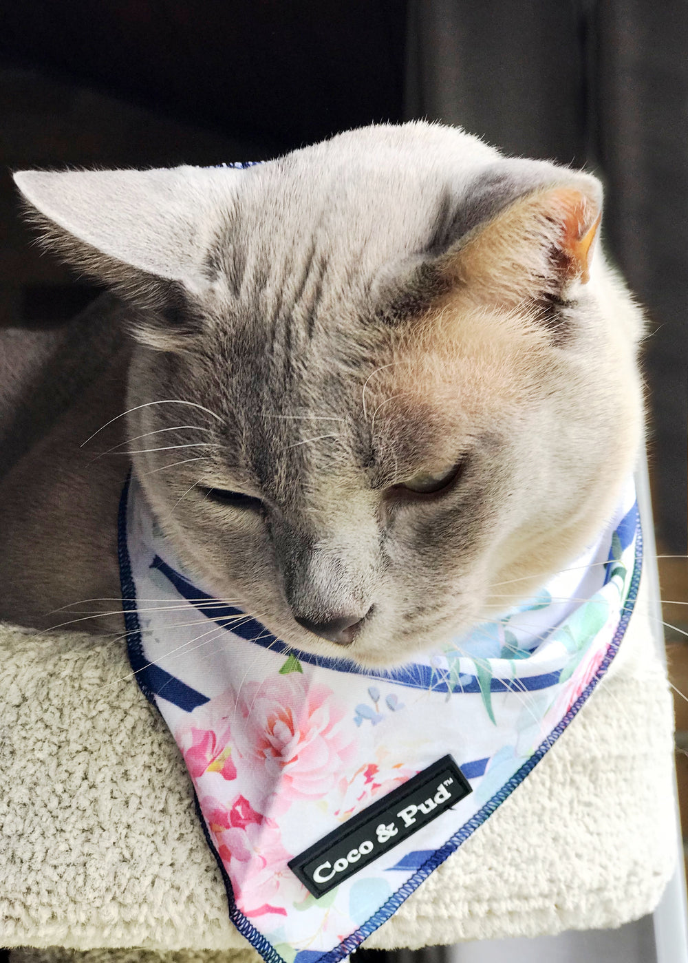 Coco & Pud Floral Blooms Cotton Cat Bandana