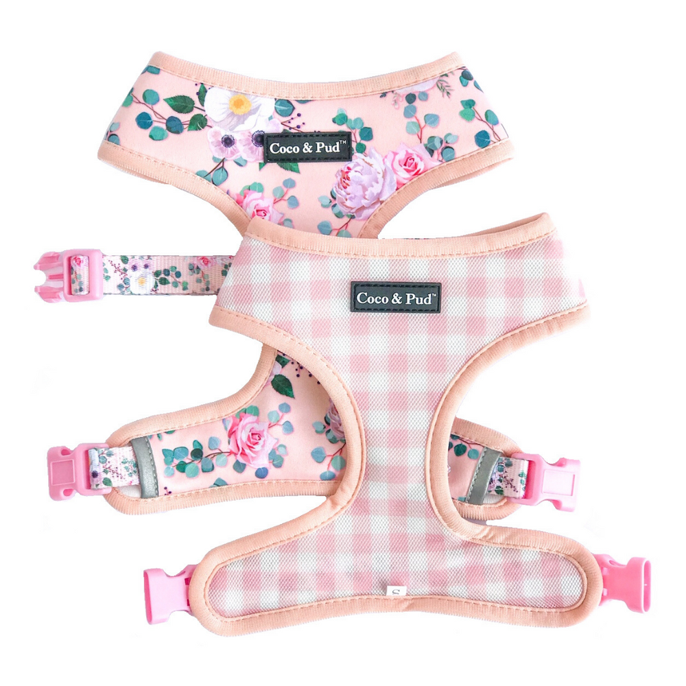 Provence Rose Reversible Dog Harness
